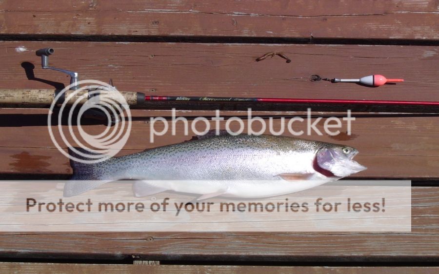 Lake Curlew/Roberta | Game Fishing Forum