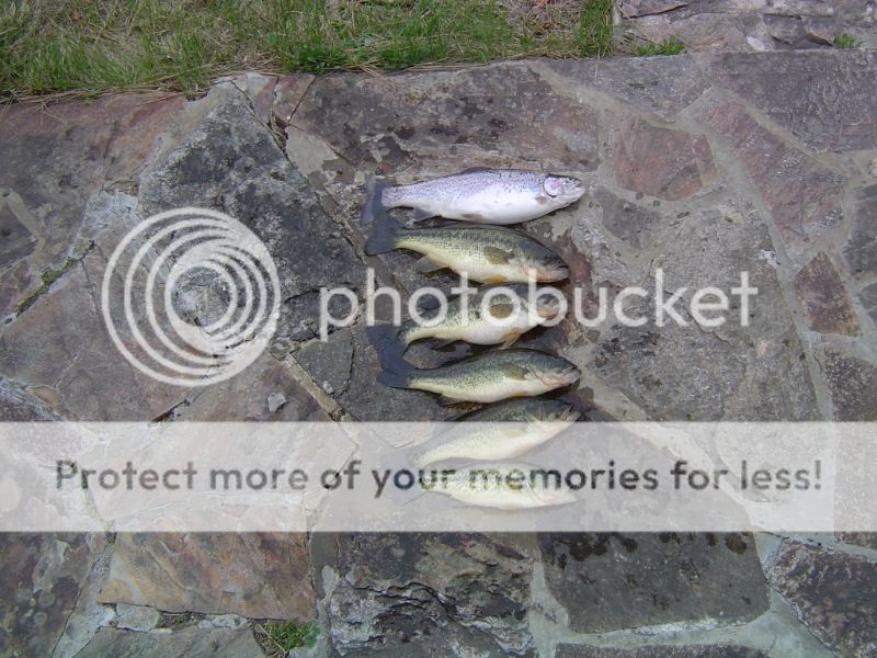 Lake Curlew/Roberta | Game Fishing Forum