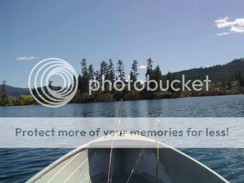 Lake Curlew/Roberta | Game Fishing Forum