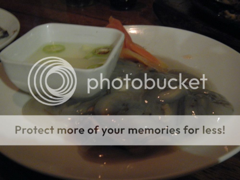 The Tamilok Challenge | Adrenaline Romance